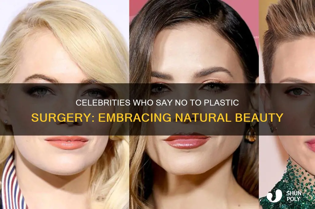 Celebrities Who Say No To Plastic Surgery: Embracing Natural Beauty ...