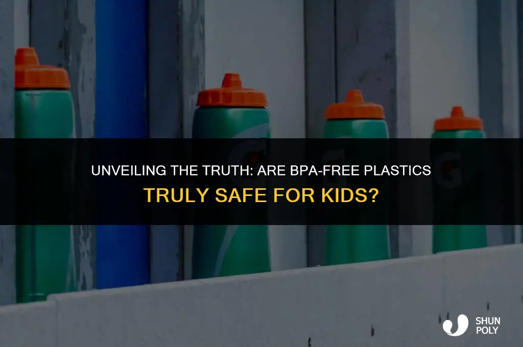 Unveiling The Truth: Are Bpa-Free Plastics Truly Safe For Kids? | ShunPoly