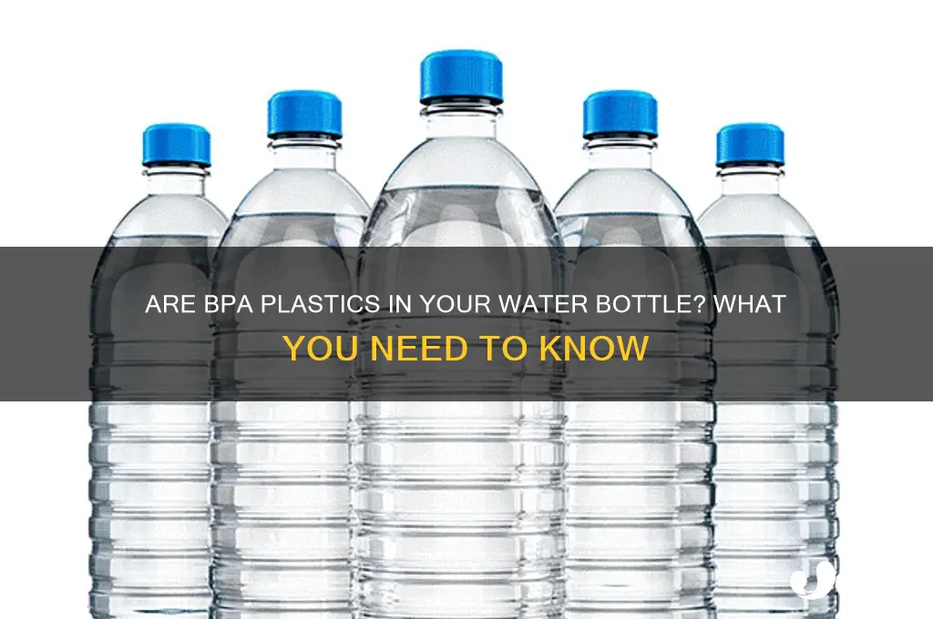 Are Bpa Plastics In Your Water Bottle? What You Need To Know | ShunPoly