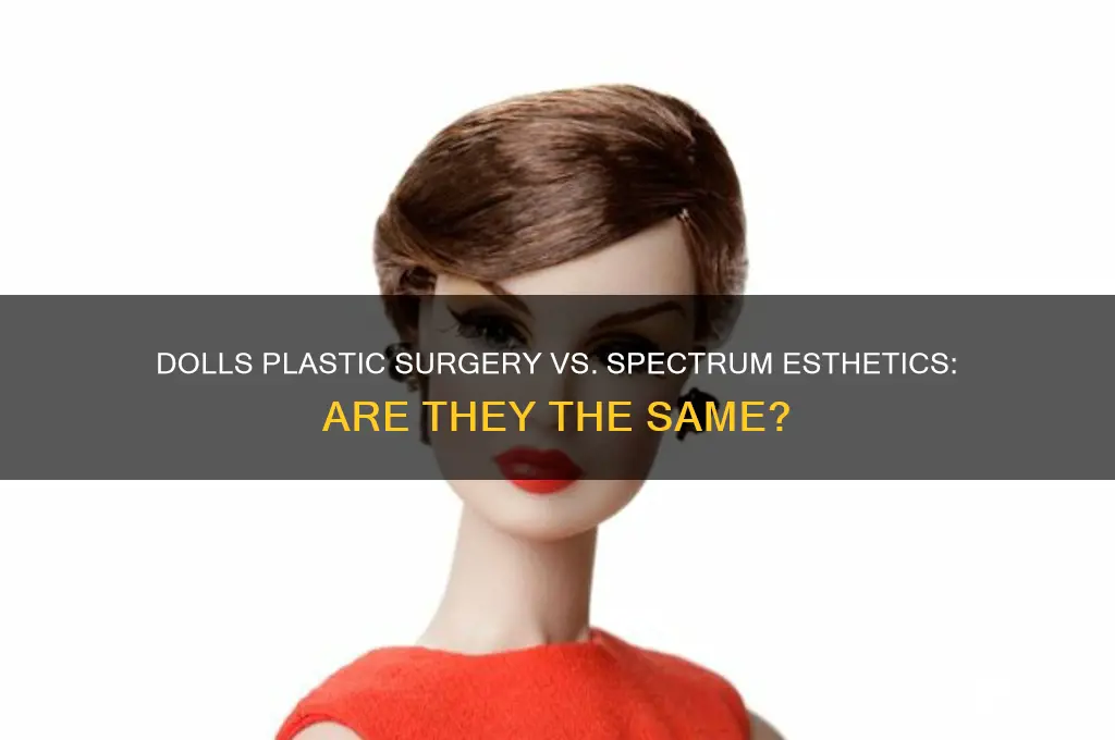 Dolls Plastic Surgery Vs. Spectrum Esthetics: Are They The Same? | ShunPoly