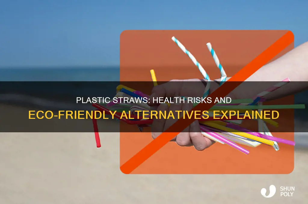Plastic Straws: Health Risks And Eco-Friendly Alternatives Explained ...