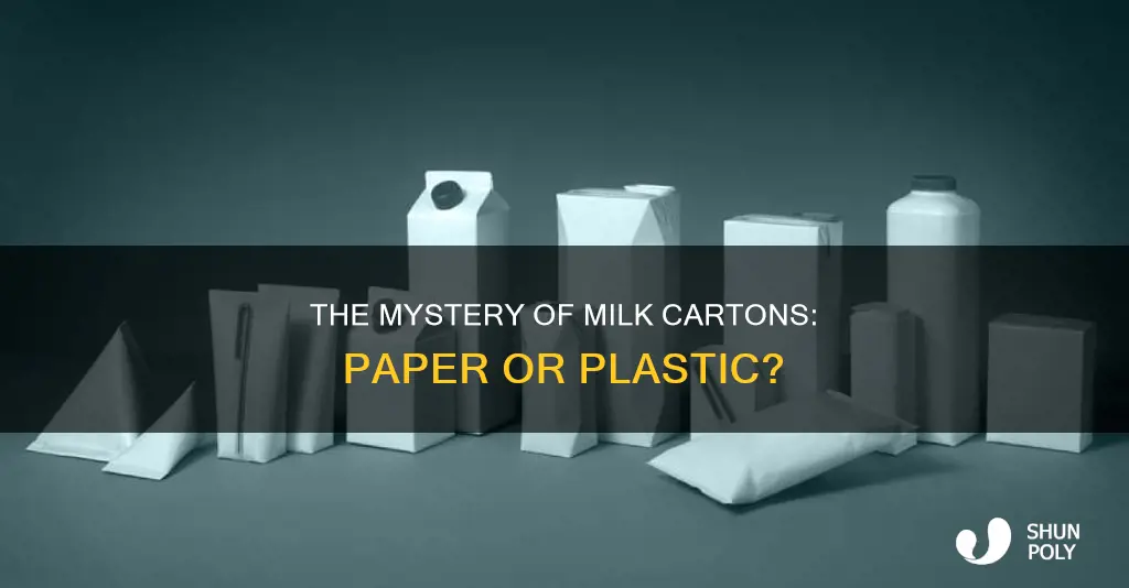 The Mystery Of Milk Cartons: Paper Or Plastic? | ShunPoly