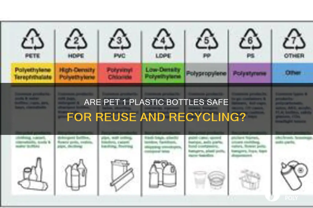 Are Pet 1 Plastic Bottles Safe For Reuse And Recycling? | ShunPoly