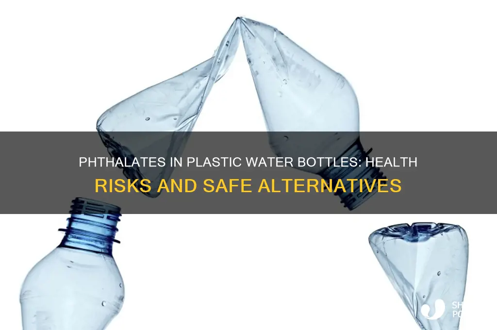 Phthalates In Plastic Water Bottles: Health Risks And Safe Alternatives ...
