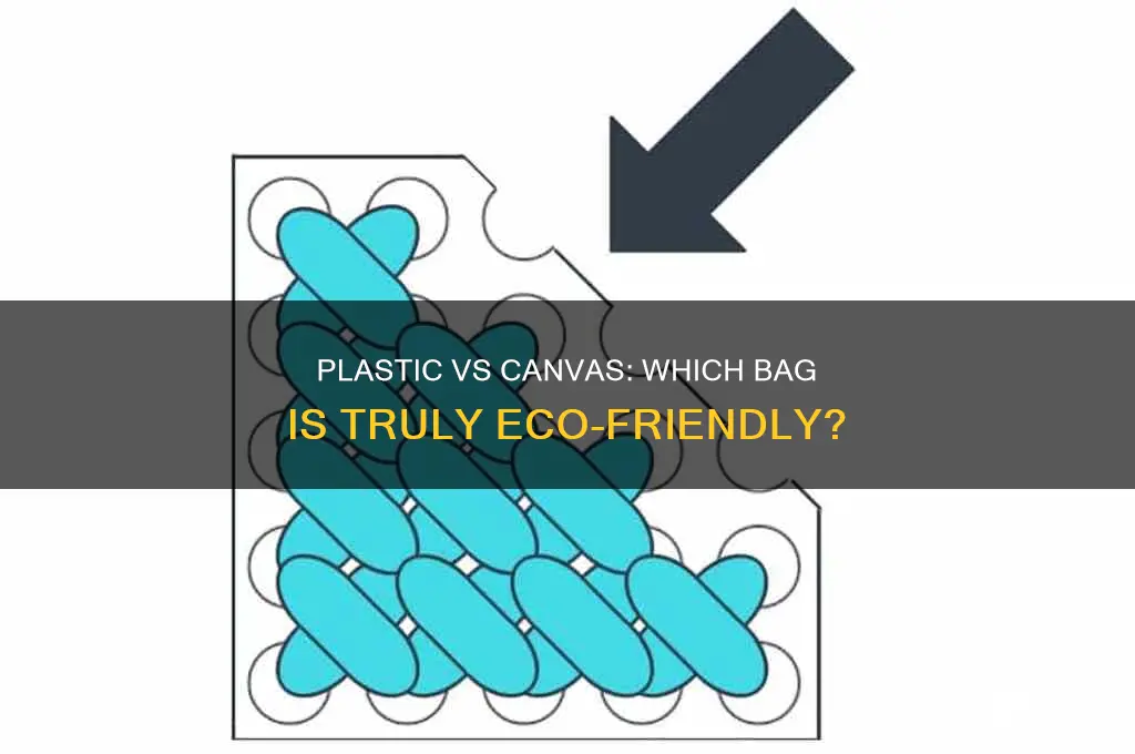Plastic Vs Canvas: Which Bag Is Truly Eco-Friendly? | ShunPoly