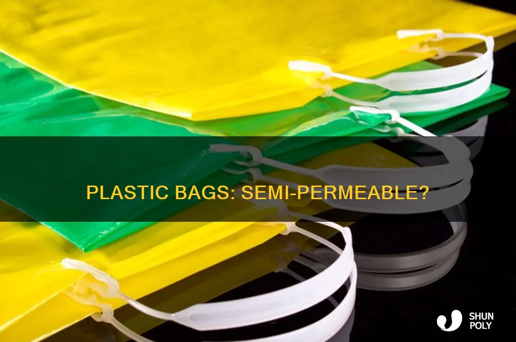 Plastic Bags: Semi-Permeable? | ShunPoly