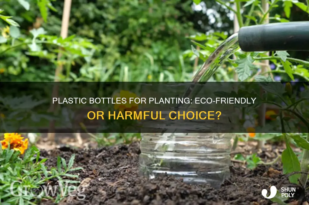 Plastic Bottles For Planting: Eco-Friendly Or Harmful Choice? | ShunPoly