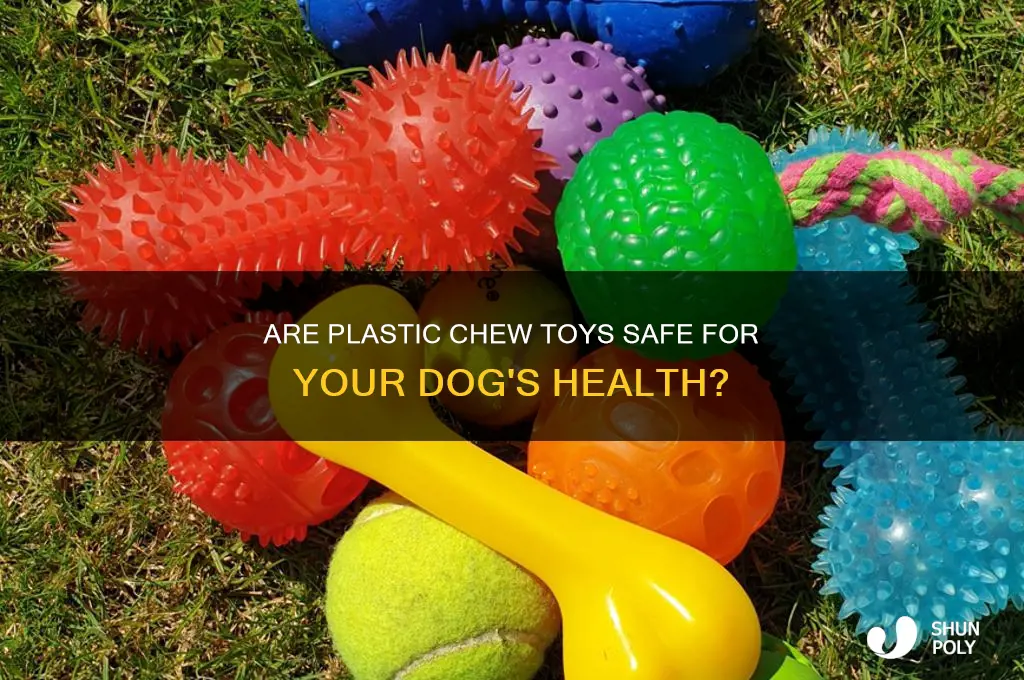 Are Plastic Chew Toys Safe For Your Dog's Health? | ShunPoly
