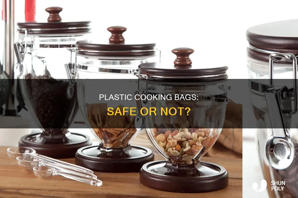 Plastic Cooking Bags: Safe Or Not? | ShunPoly
