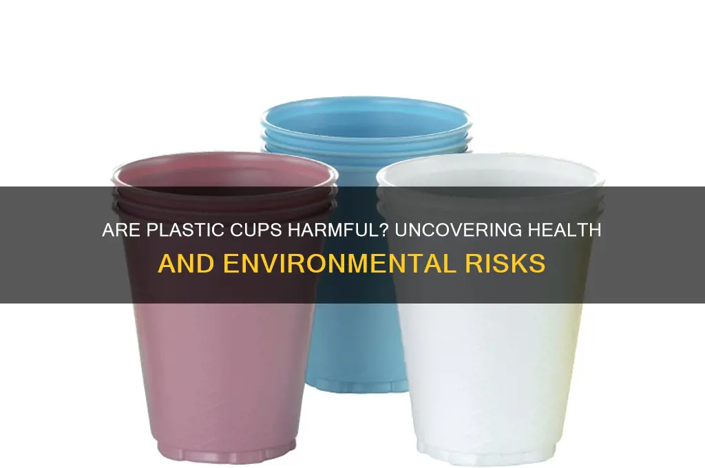 Are Plastic Cups Harmful? Uncovering Health And Environmental Risks ...