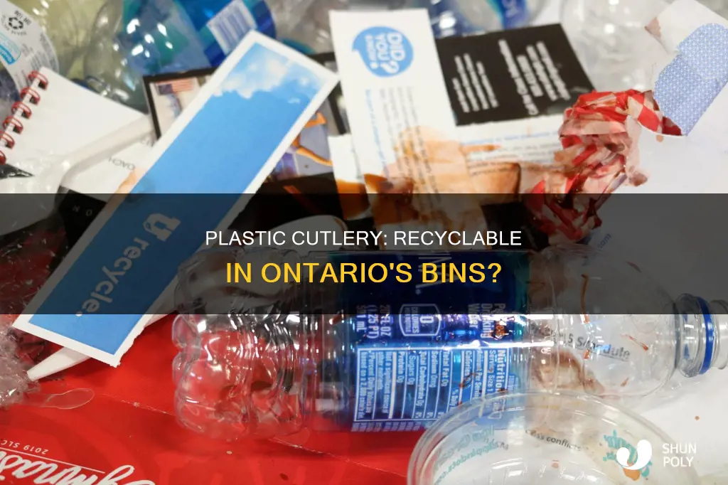Plastic Cutlery: Recyclable In Ontario's Bins? | ShunPoly