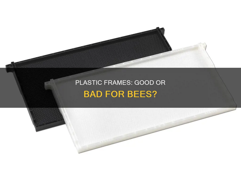Plastic Frames: Good Or Bad For Bees? | ShunPoly