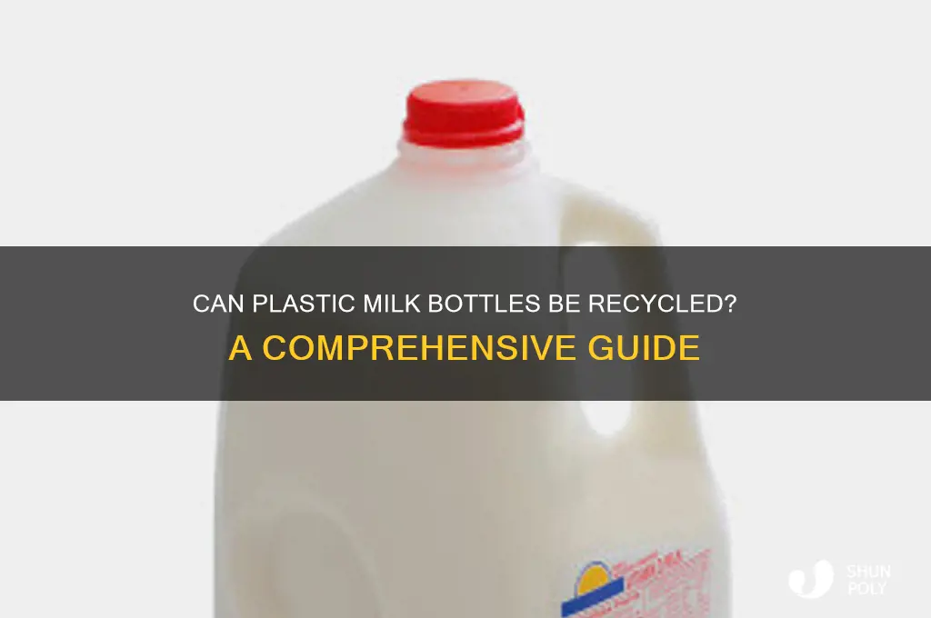 Can Plastic Milk Bottles Be Recycled? A Comprehensive Guide | ShunPoly