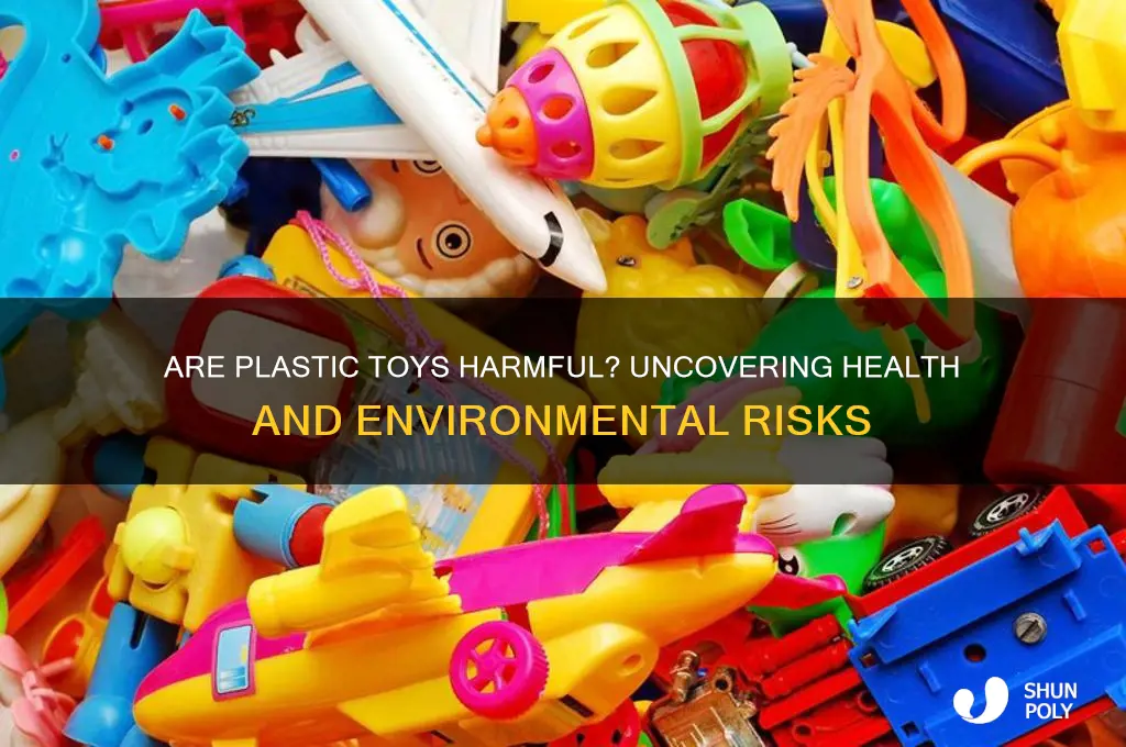 Are Plastic Toys Harmful? Uncovering Health And Environmental Risks ...