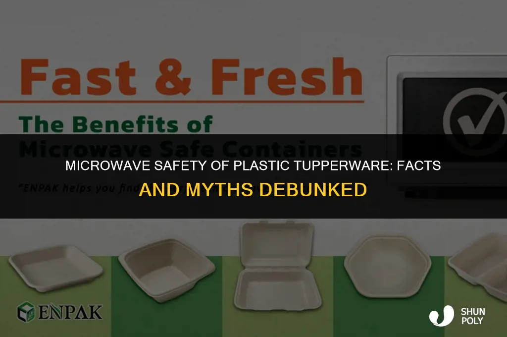 Microwave Safety Of Plastic Tupperware: Facts And Myths Debunked | ShunPoly