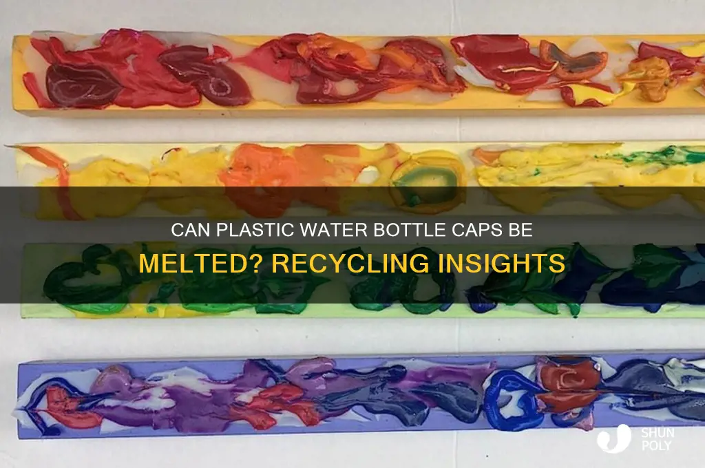 Can Plastic Water Bottle Caps Be Melted? Recycling Insights | ShunPoly
