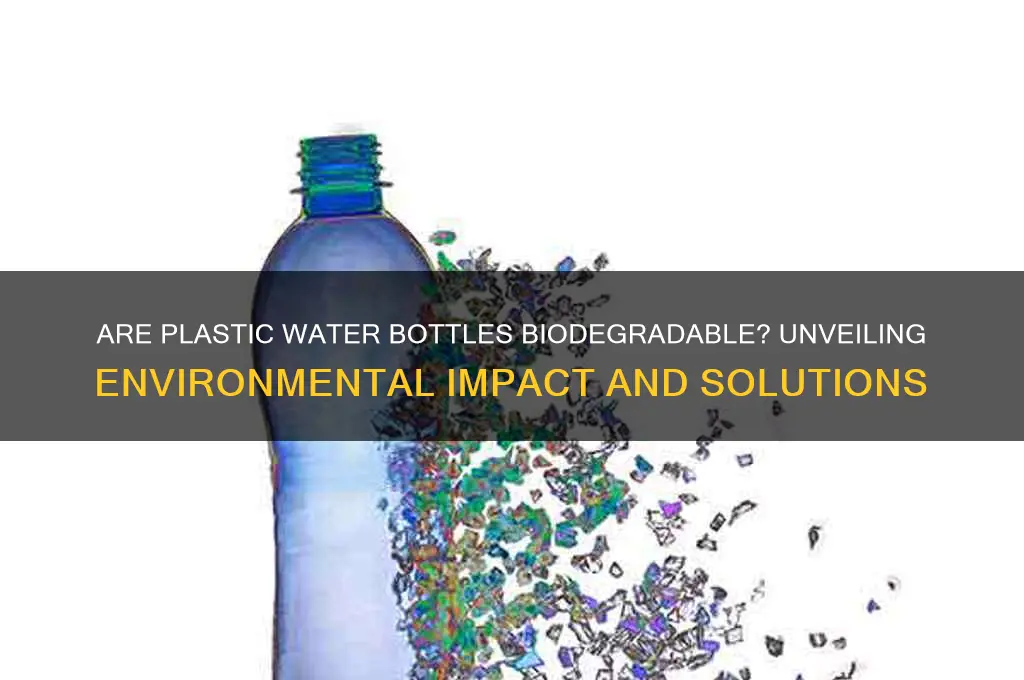 Are Plastic Water Bottles Biodegradable? Unveiling Environmental Impact ...