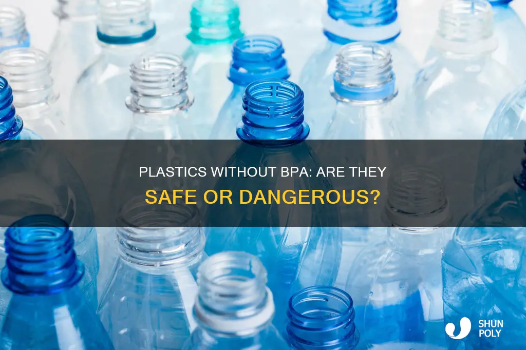 Plastics Without Bpa: Are They Safe Or Dangerous? | ShunPoly