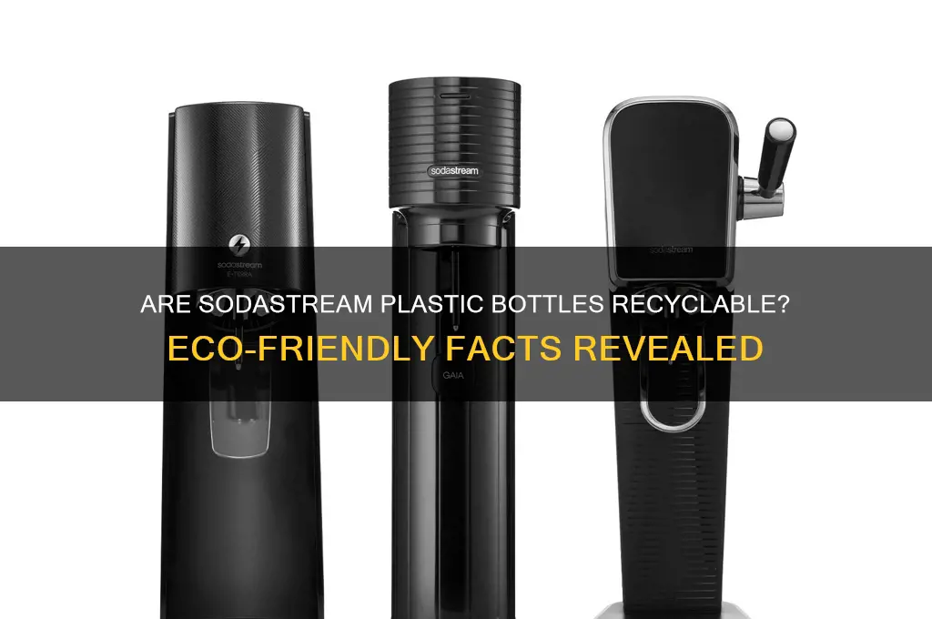 Are Sodastream Plastic Bottles Recyclable? Eco-Friendly Facts Revealed ...
