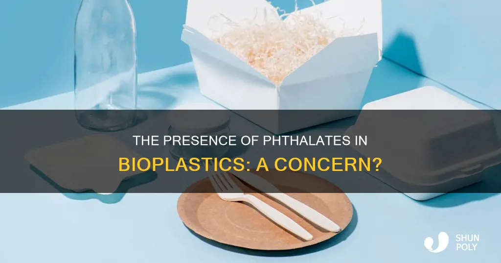 The Presence Of Phthalates In Bioplastics: A Concern? | ShunPoly