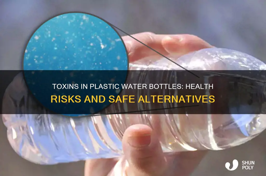 Toxins In Plastic Water Bottles: Health Risks And Safe Alternatives ...