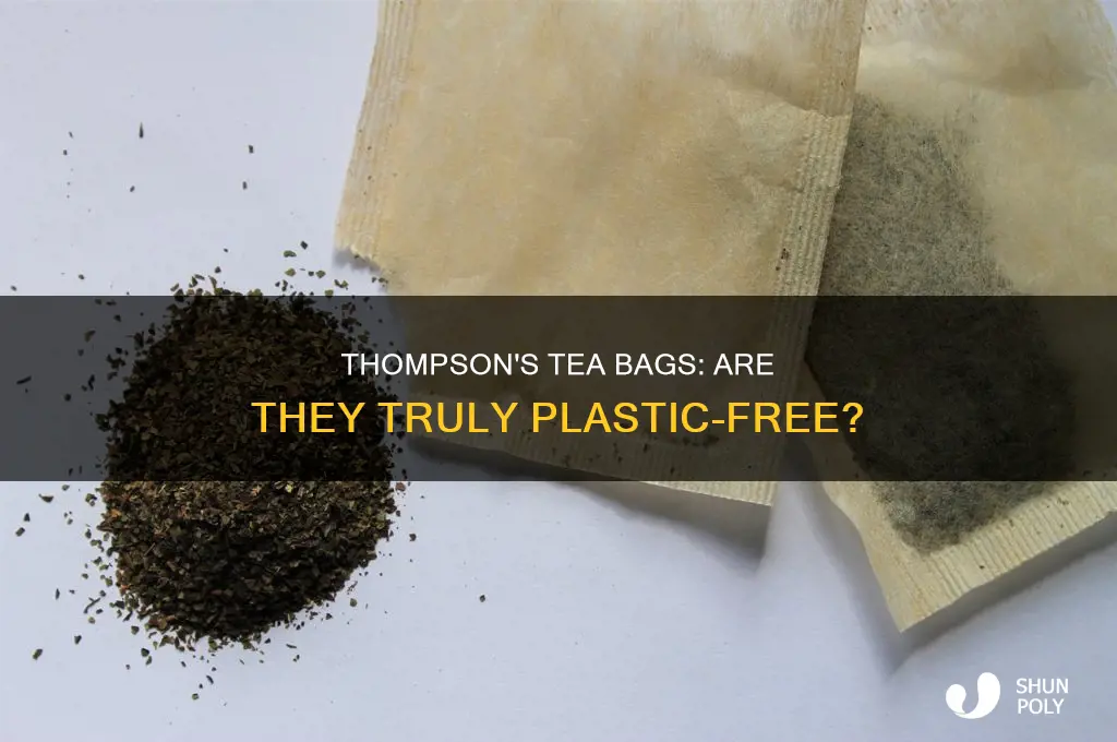 Thompson's Tea Bags: Are They Truly Plastic-Free? | ShunPoly