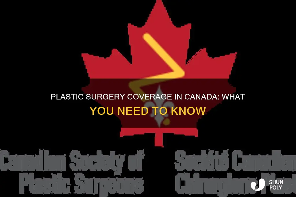 Plastic Surgery Coverage In Canada: What You Need To Know | ShunPoly