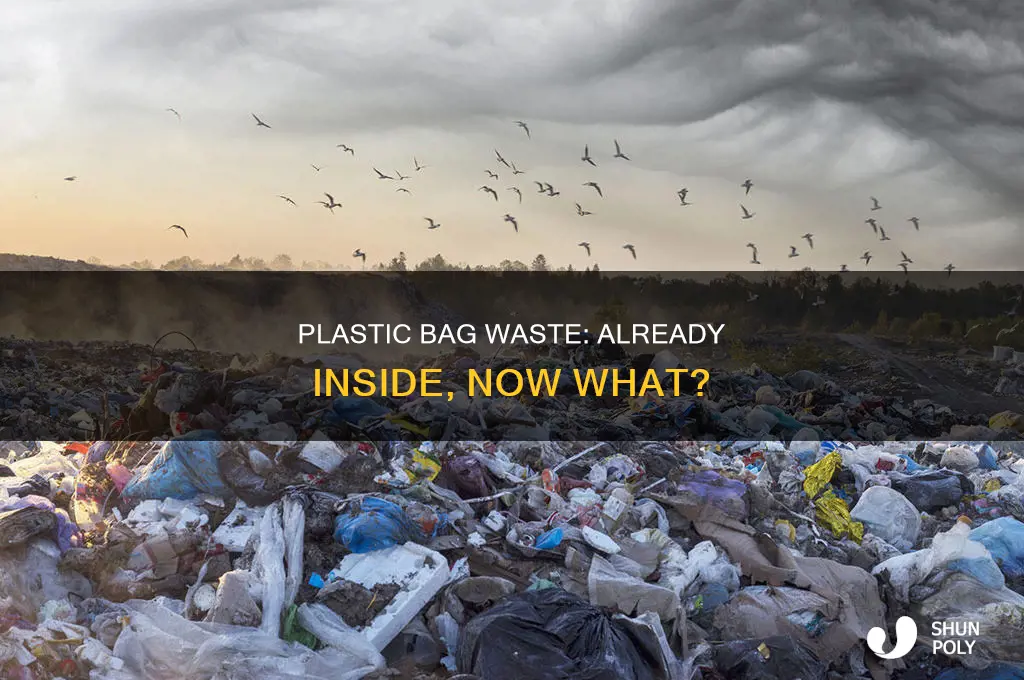 Plastic Bag Waste: Already Inside, Now What? | ShunPoly