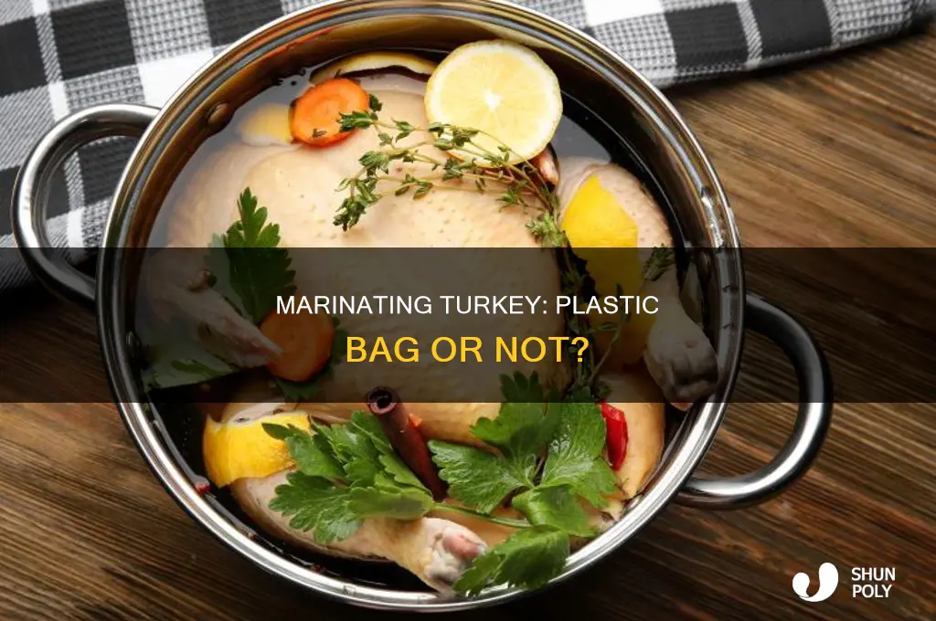Marinating Turkey: Plastic Bag Or Not? | ShunPoly