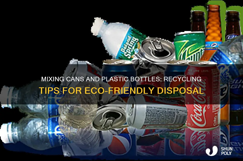 Mixing Cans And Plastic Bottles: Recycling Tips For Eco-Friendly ...
