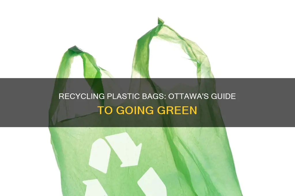 Recycling Plastic Bags: Ottawa's Guide To Going Green | ShunPoly
