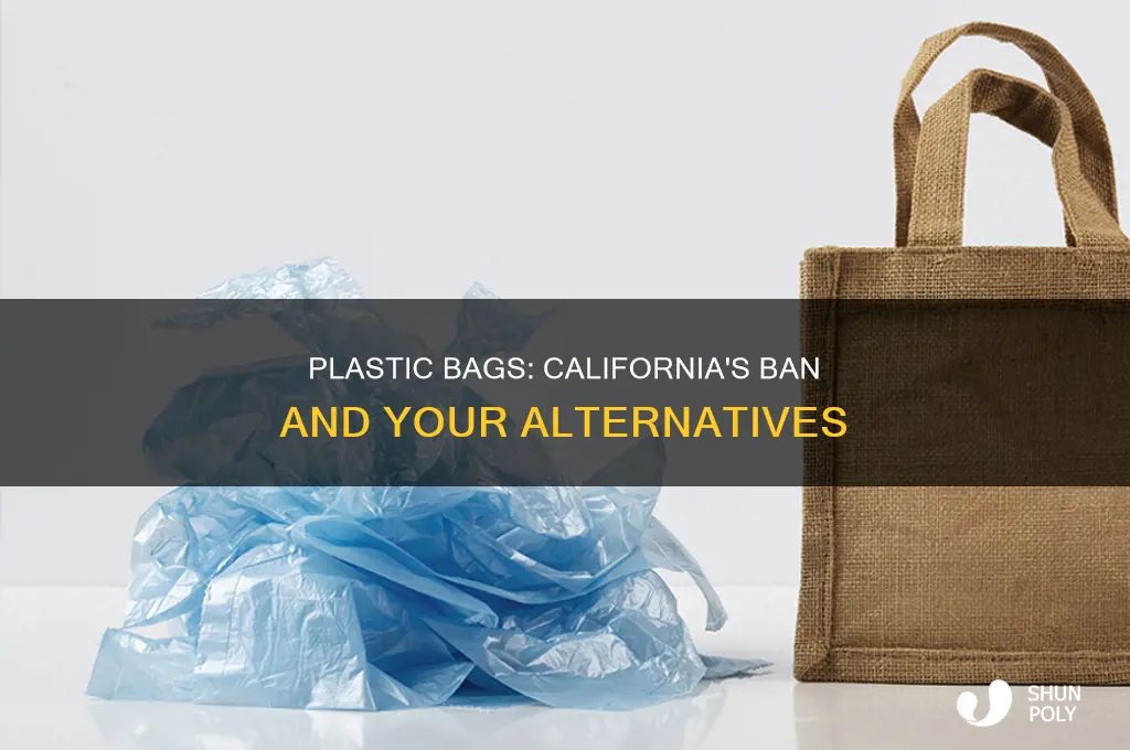 Plastic Bags: California's Ban And Your Alternatives | ShunPoly