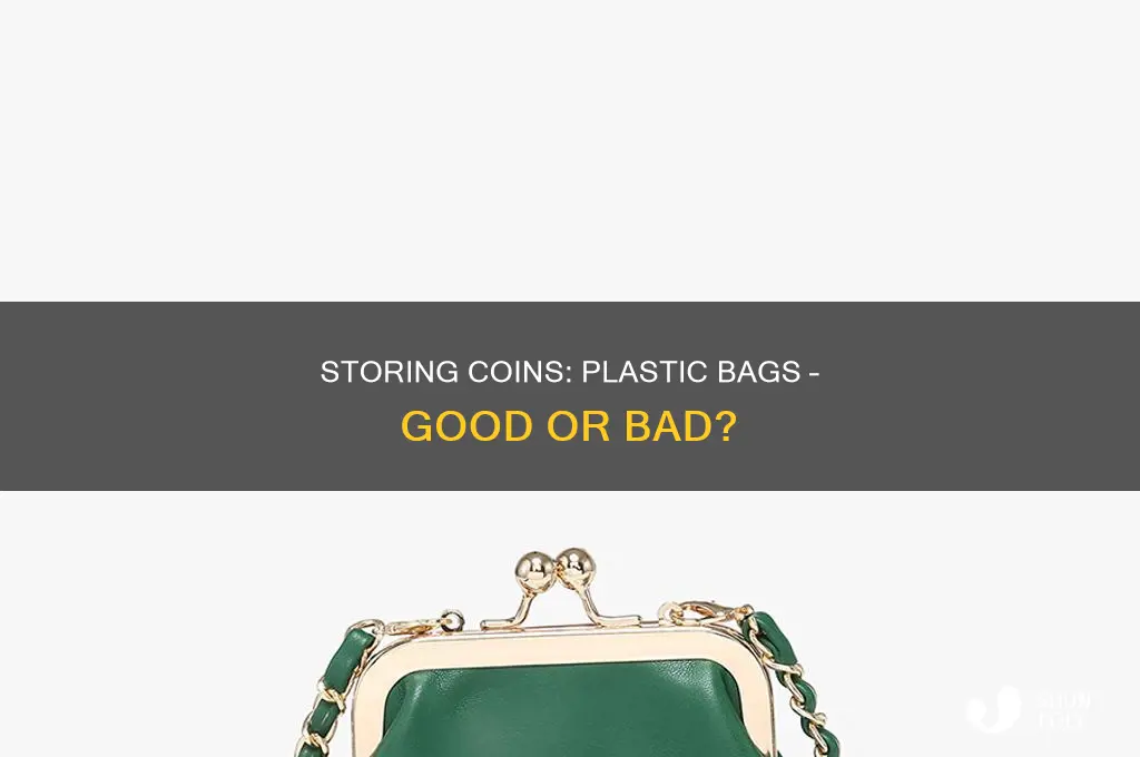 Storing Coins: Plastic Bags – Good Or Bad? | ShunPoly