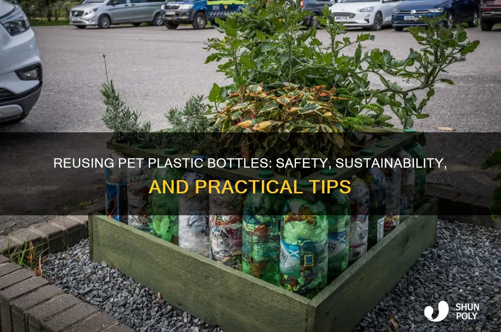 Reusing Pet Plastic Bottles: Safety, Sustainability, And Practical Tips ...