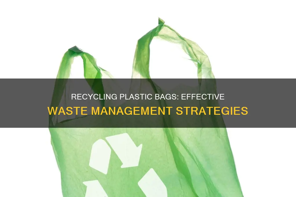 Recycling Plastic Bags: Effective Waste Management Strategies | ShunPoly