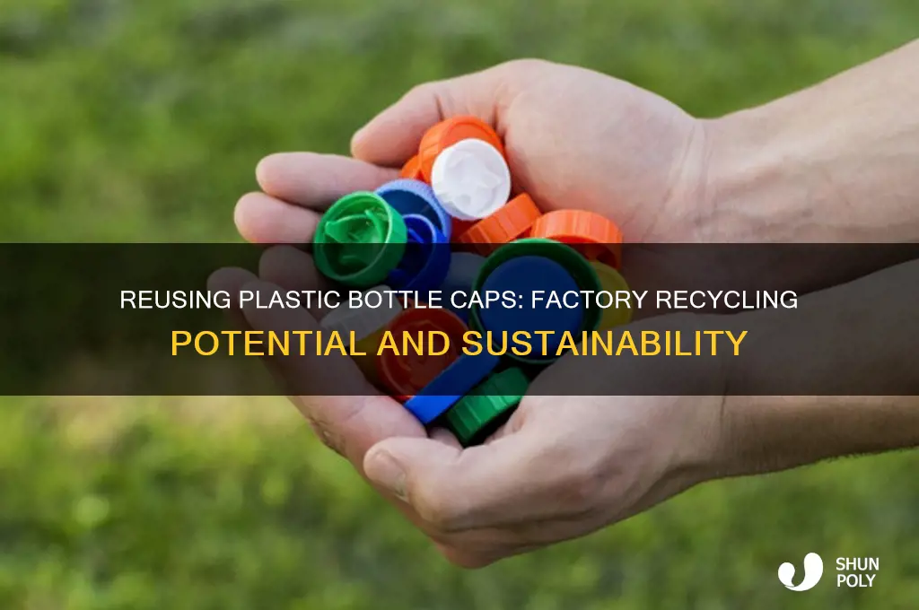 Reusing Plastic Bottle Caps: Factory Recycling Potential And ...