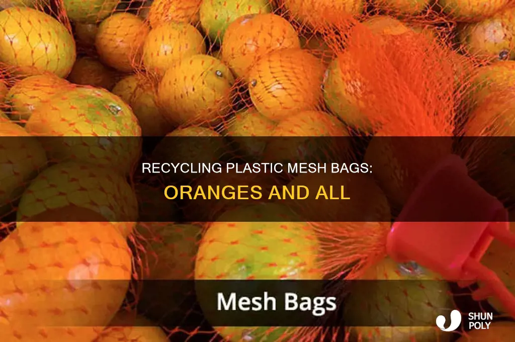 Recycling Plastic Mesh Bags: Oranges And All | ShunPoly