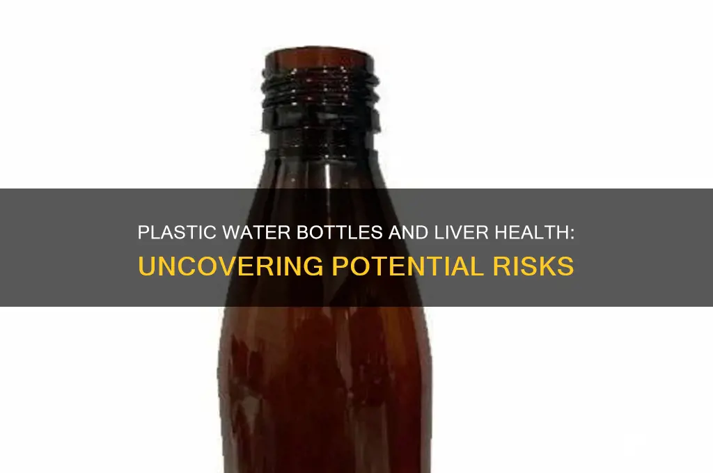 Plastic Water Bottles And Liver Health: Uncovering Potential Risks ...