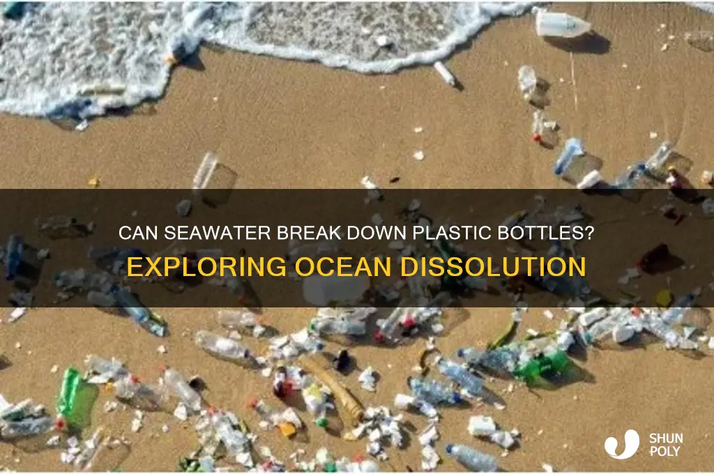 Can Seawater Break Down Plastic Bottles? Exploring Ocean Dissolution ...