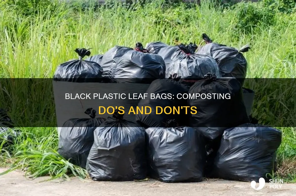Black Plastic Leaf Bags: Composting Do's And Don'ts | ShunPoly