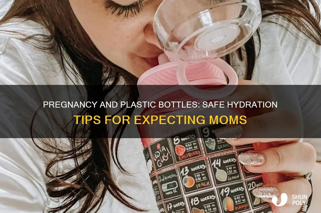 Pregnancy And Plastic Bottles: Safe Hydration Tips For Expecting Moms ...