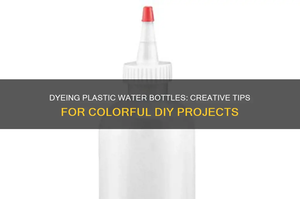 Dyeing Plastic Water Bottles: Creative Tips For Colorful Diy Projects ...