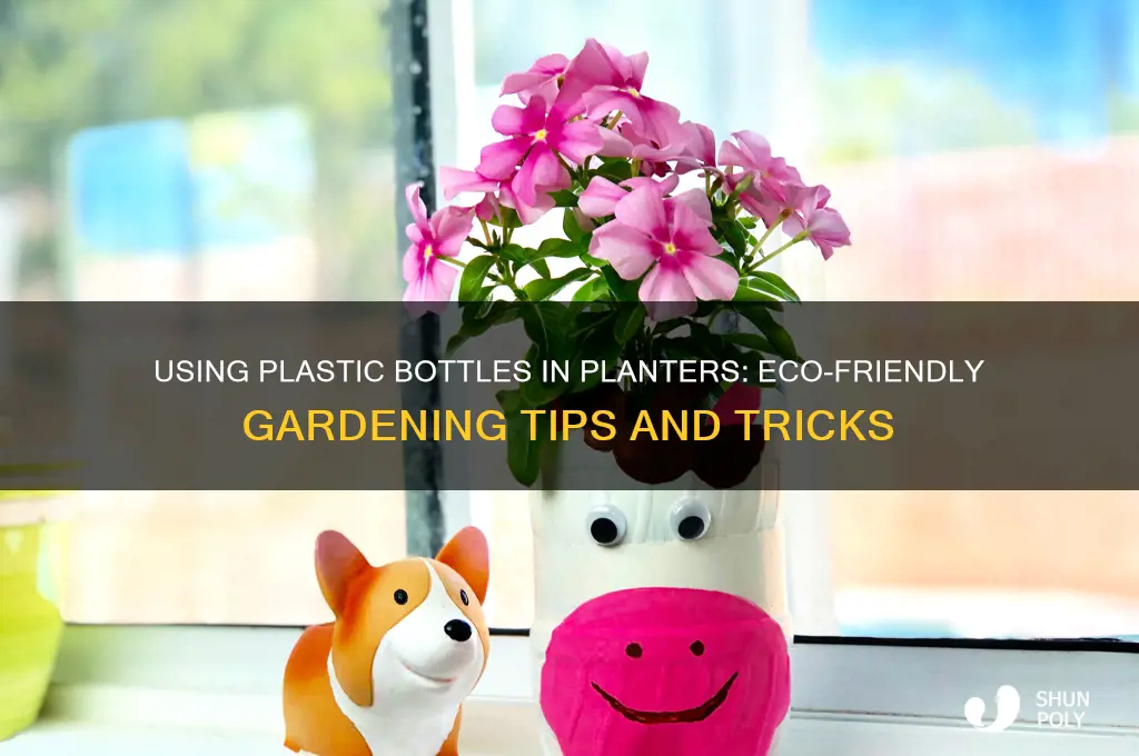 Using Plastic Bottles In Planters: Eco-Friendly Gardening Tips And ...