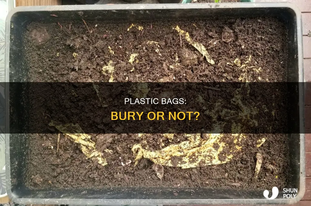 Plastic Bags: Bury Or Not? | ShunPoly