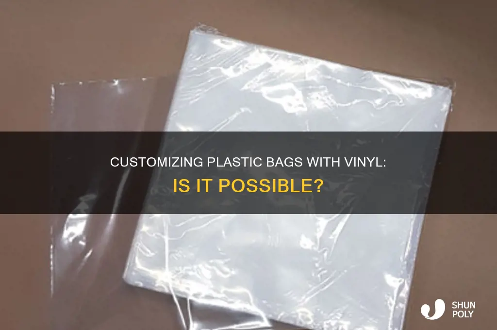 Customizing Plastic Bags With Vinyl: Is It Possible? | ShunPoly