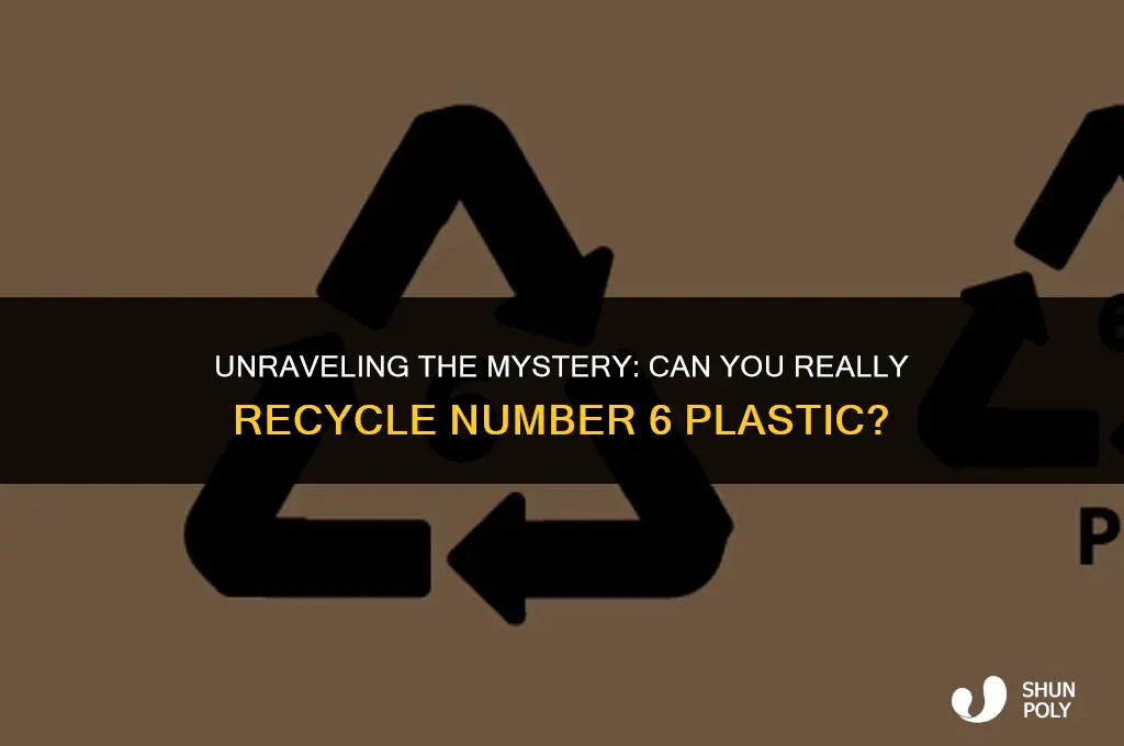 Unraveling The Mystery: Can You Really Recycle Number 6 Plastic? | ShunPoly