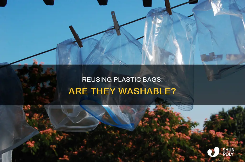 Reusing Plastic Bags: Are They Washable? | ShunPoly