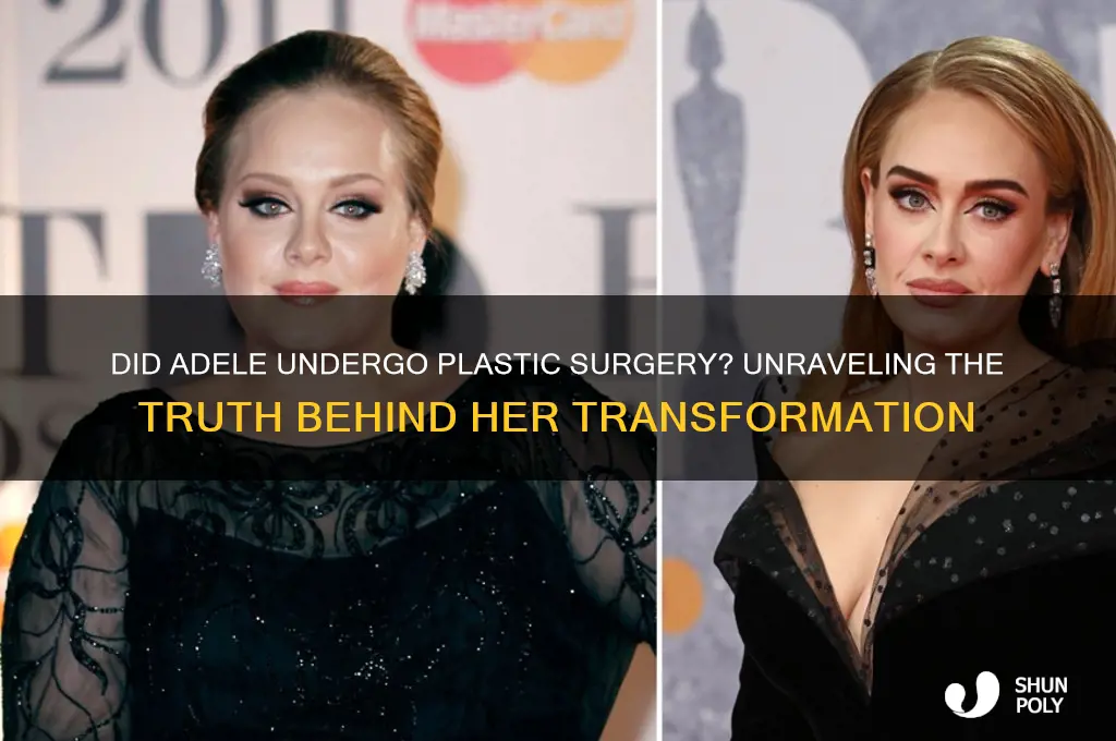 Did Adele Undergo Plastic Surgery? Unraveling The Truth Behind Her ...
