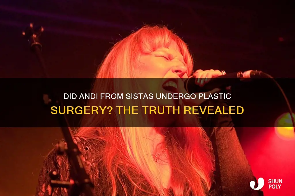 Did Andi From Sistas Undergo Plastic Surgery? The Truth Revealed | ShunPoly