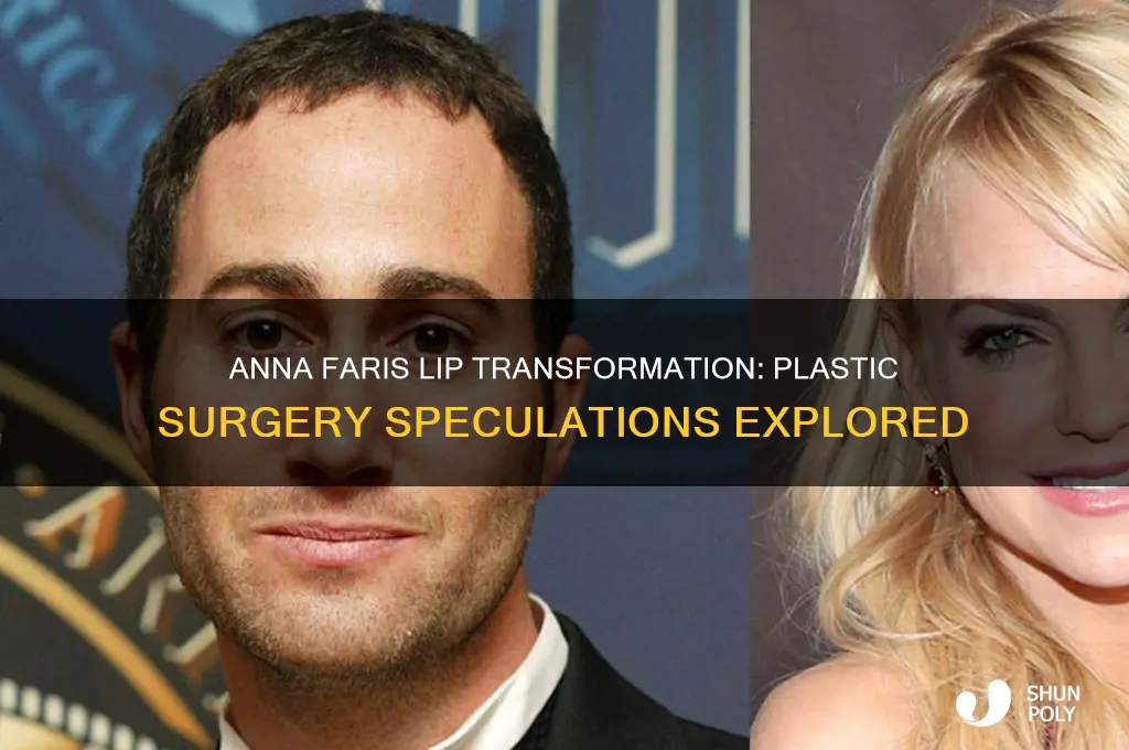 Anna Faris Lip Transformation: Plastic Surgery Speculations Explored ...